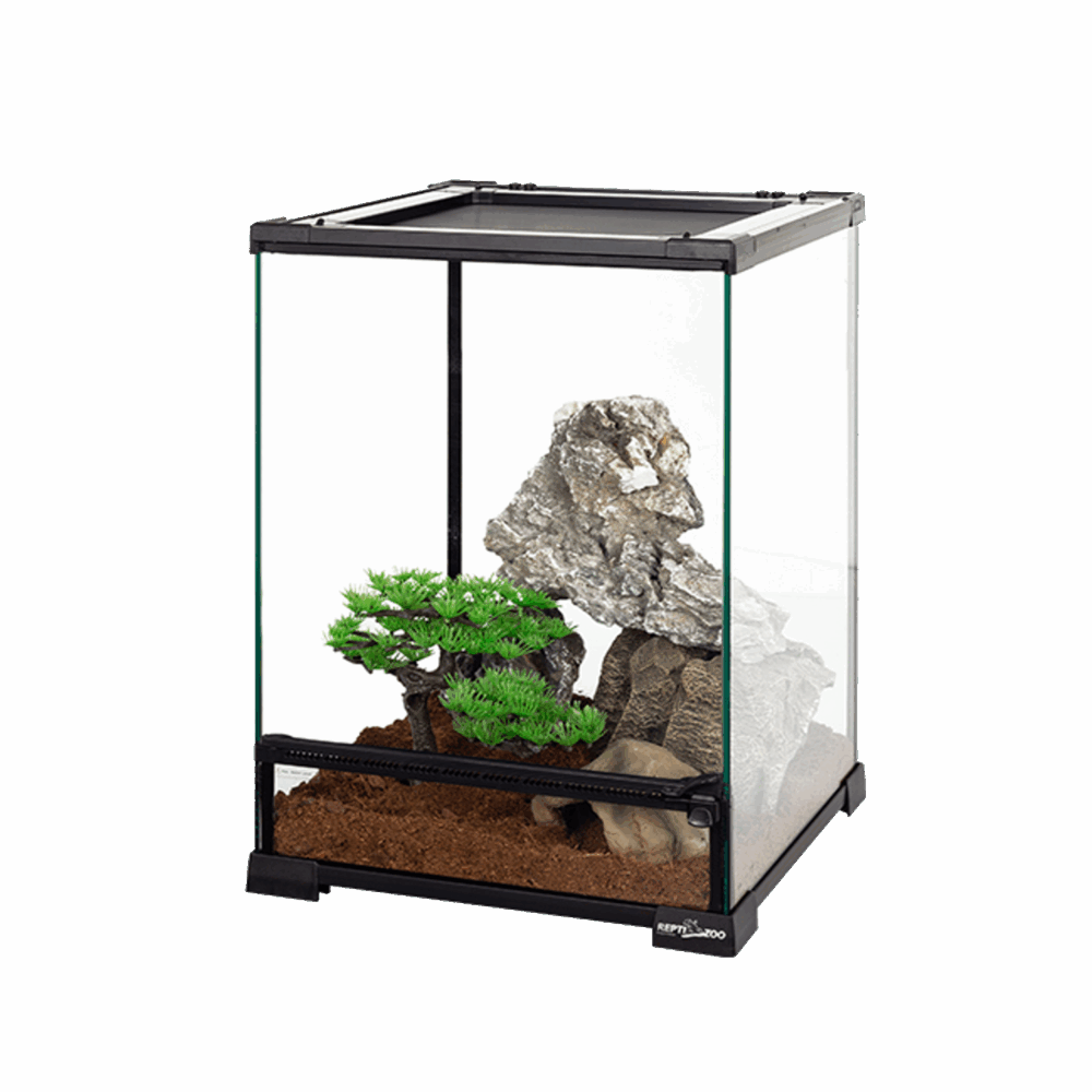 Repti Zoo - Glass Terrarium