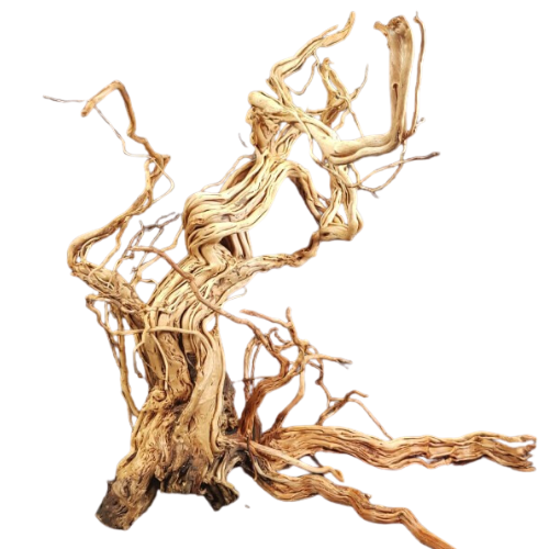 Azalea Wood - Large (per/100g)