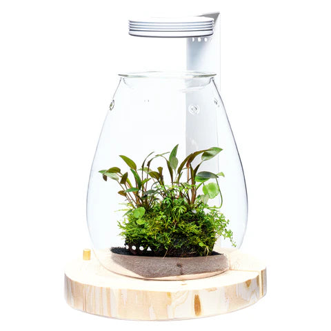 DOOA - Magnet Light Slim Wood Base Set