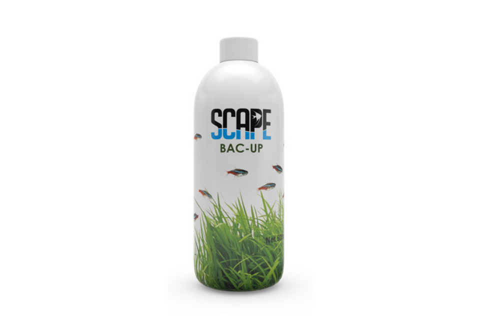 Scape - Back-Up