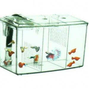 External Breeder Box – Art of Aqua