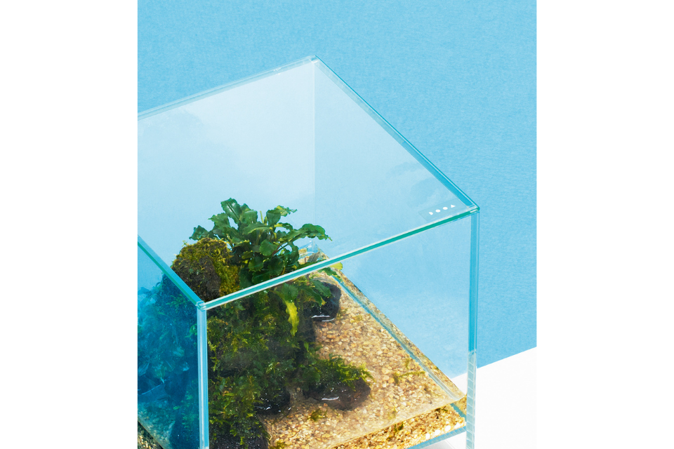 DOOA - Neo Glass AIR